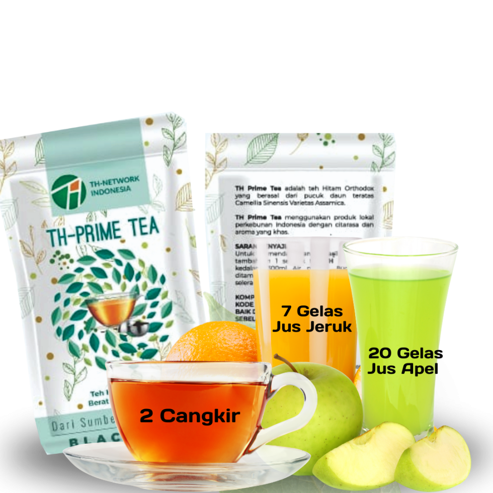 TH-Primetea | TH-ACADEMY